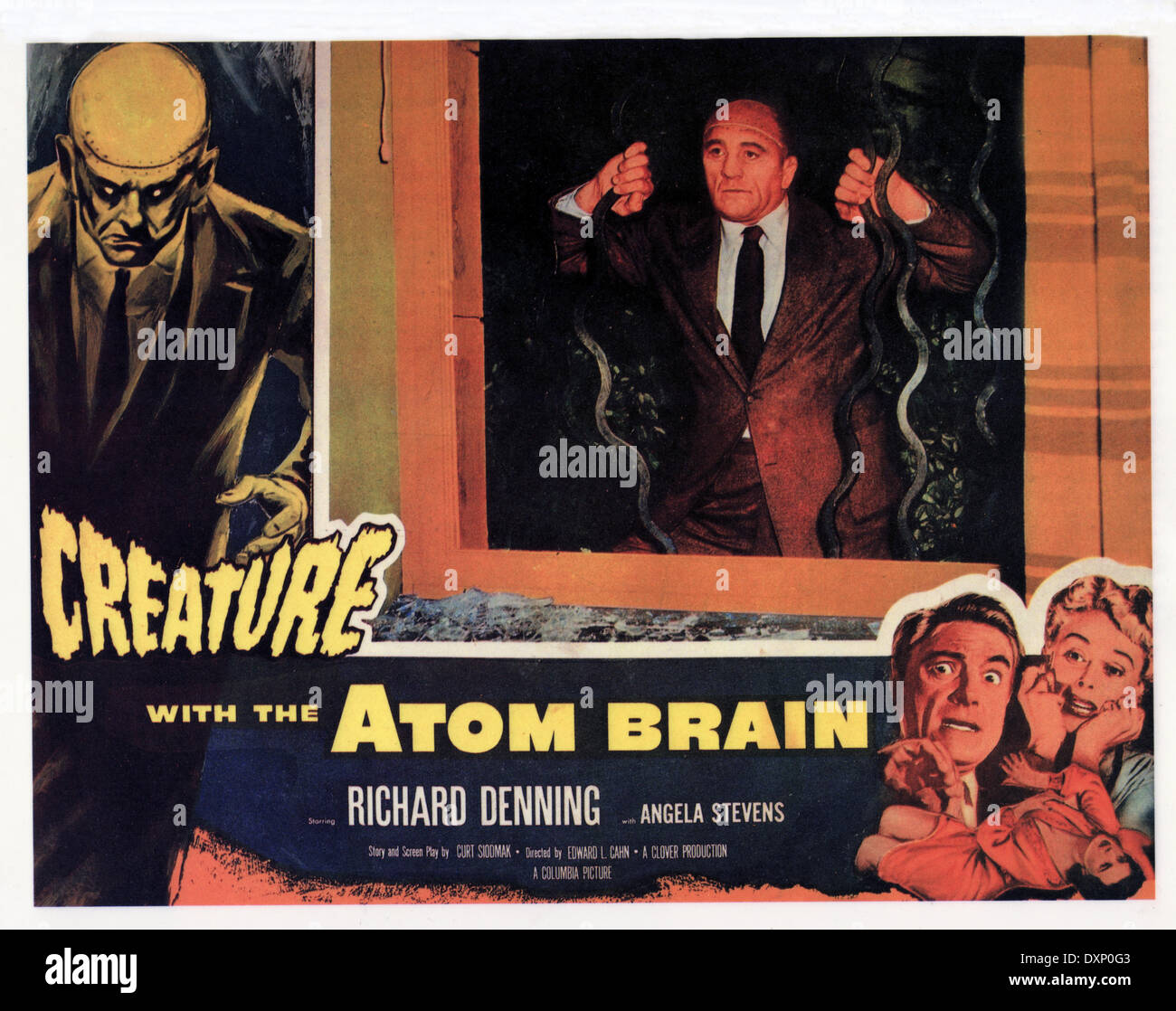 Creature with the atom brain 1955 hi-res stock photography and images ...