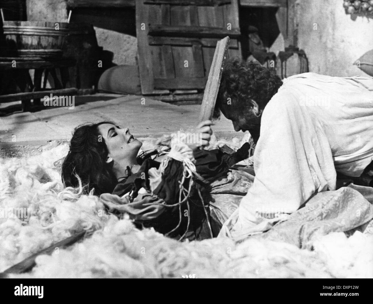 THE TAMING OF THE SHREW Stock Photo - Alamy