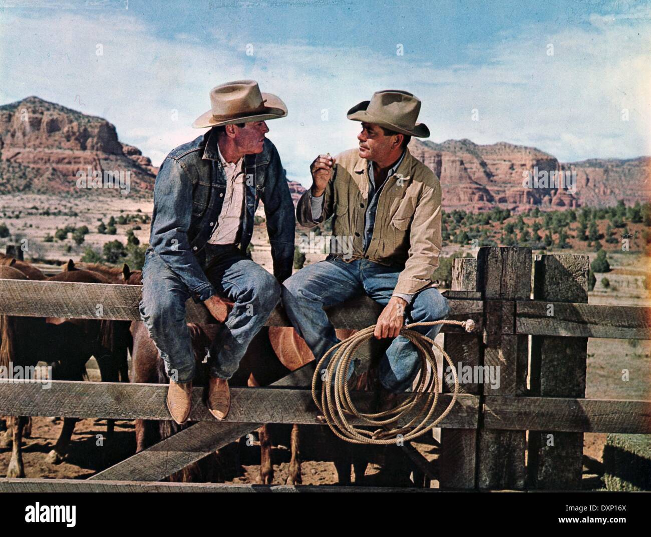 Rounders film hi-res stock photography and images - Alamy