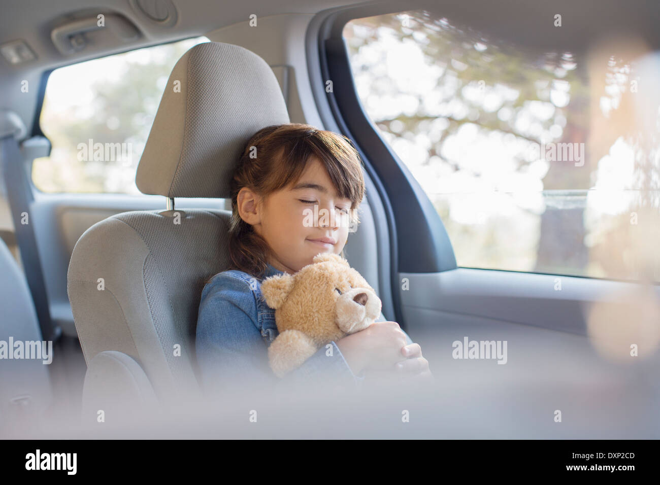 Girl with teddy bear sleeping in back seat of car Stock Photo - Alamy