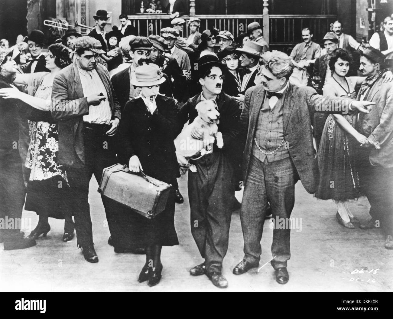 A DOG'S LIFE Stock Photo - Alamy