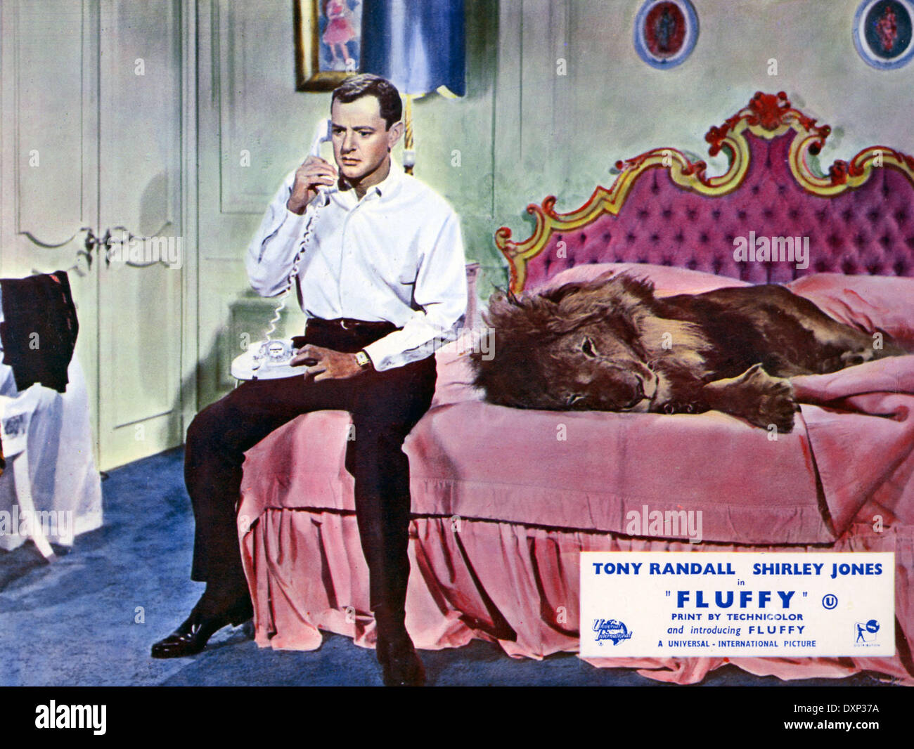 Tony randall fluffy 1965 hi-res stock photography and images - Alamy