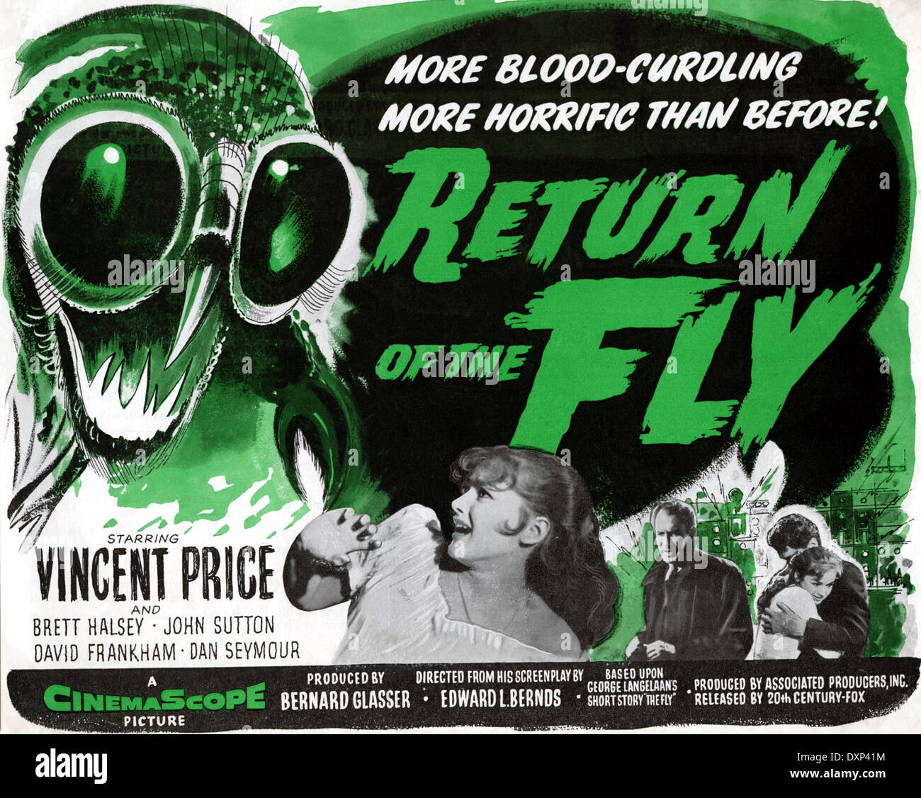 RETURN OF THE FLY Stock Photo - Alamy