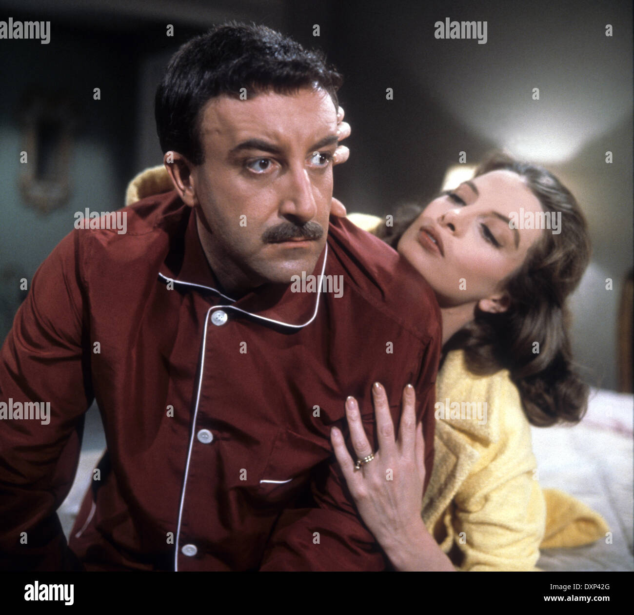 Capucine Pink Panther High Resolution Stock Photography and Images - Alamy