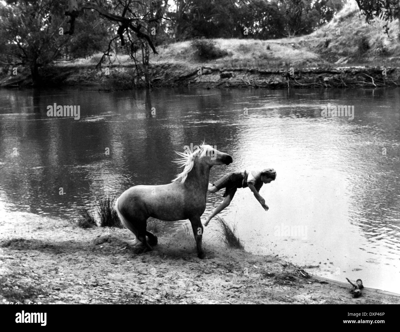 RIDE A WILD HORSE Stock Photo - Alamy