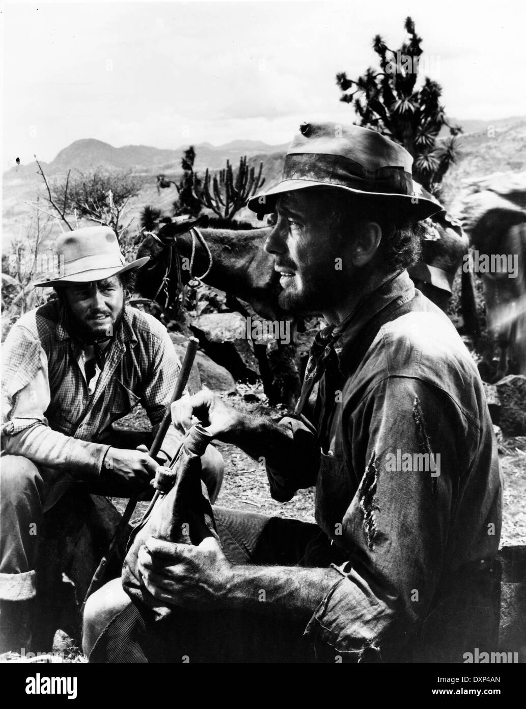 Tim us Black and White Stock Photos & Images - Alamy