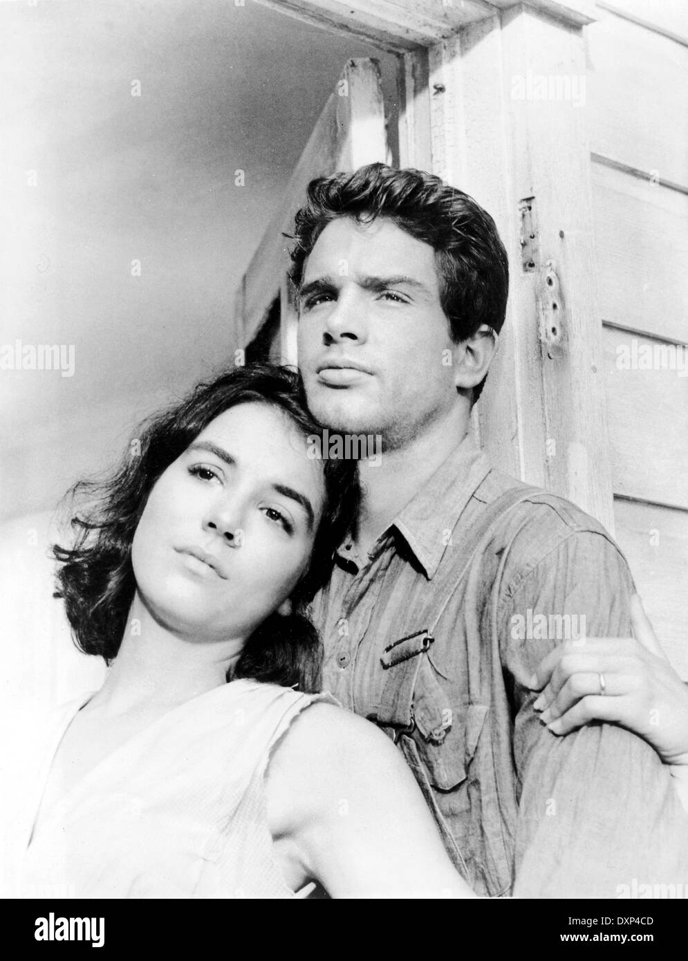 Splendour In The Grass Movie