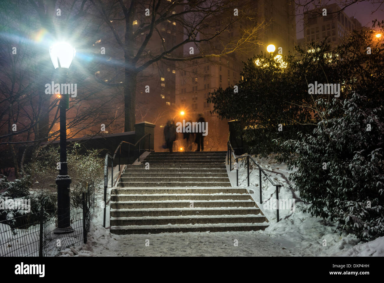 Night snow storm park hi-res stock photography and images - Alamy