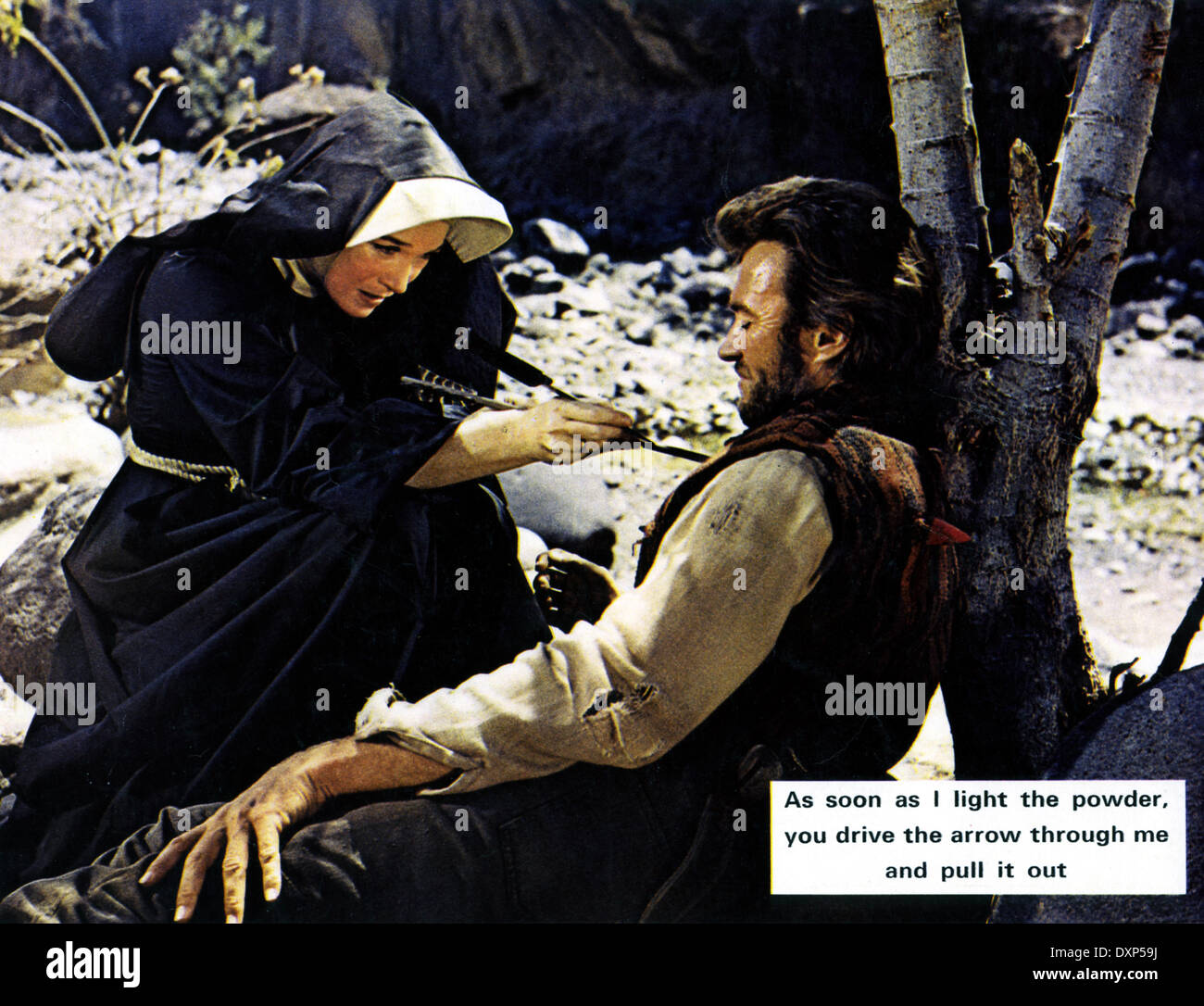 TWO MULES FOR SISTER SARA Stock Photo - Alamy