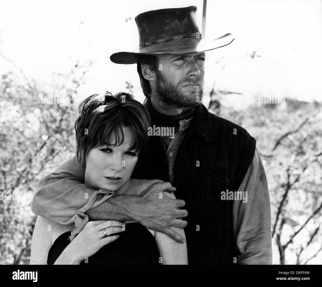 Two mules hi-res stock photography and images - Alamy