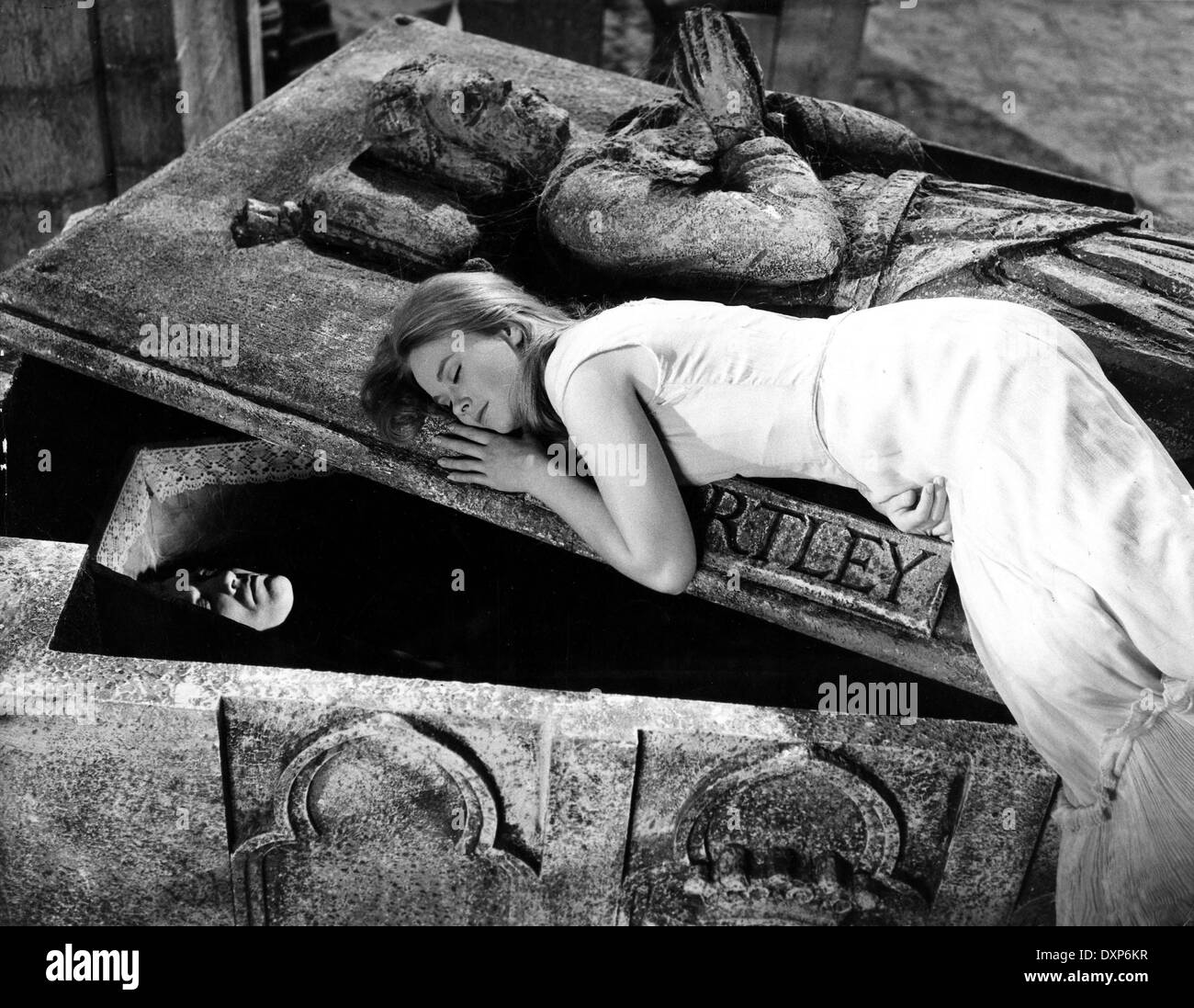 TASTE THE BLOOD OF DRACULA Stock Photo - Alamy