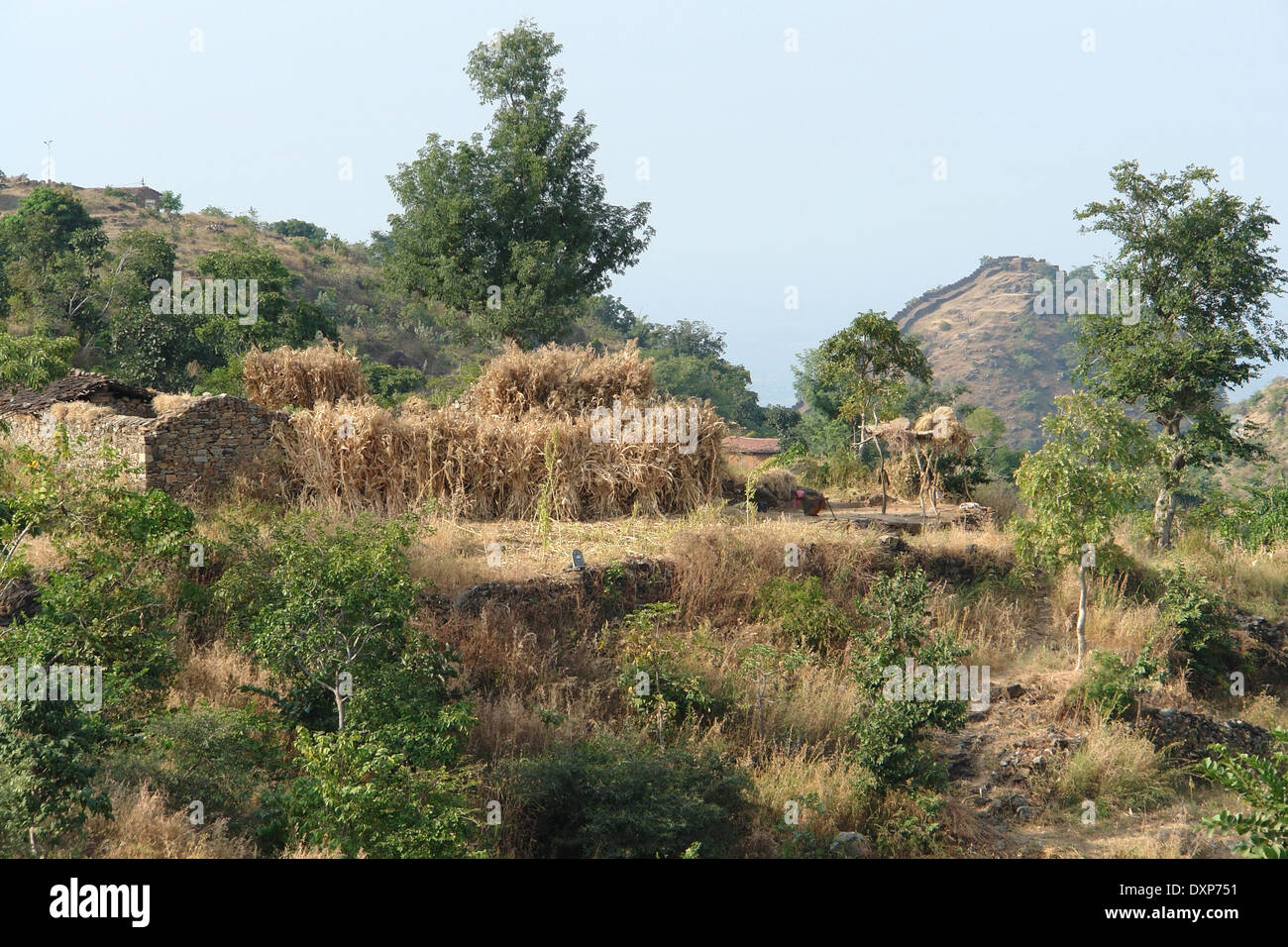 Aravalli hill range hi-res stock photography and images - Alamy