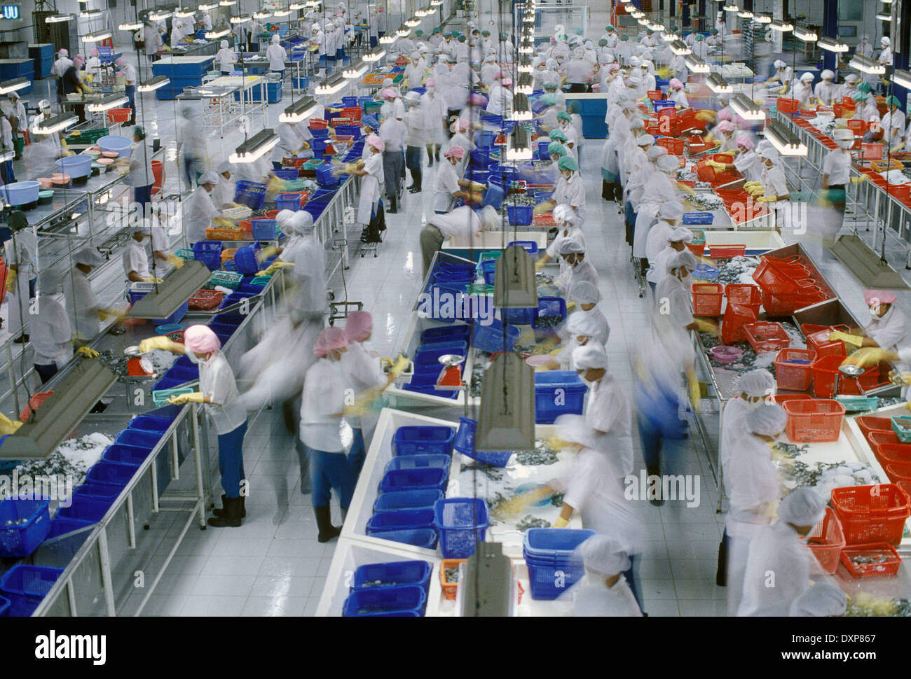 Indonesia Seafood packing plant Stock Photo - Alamy