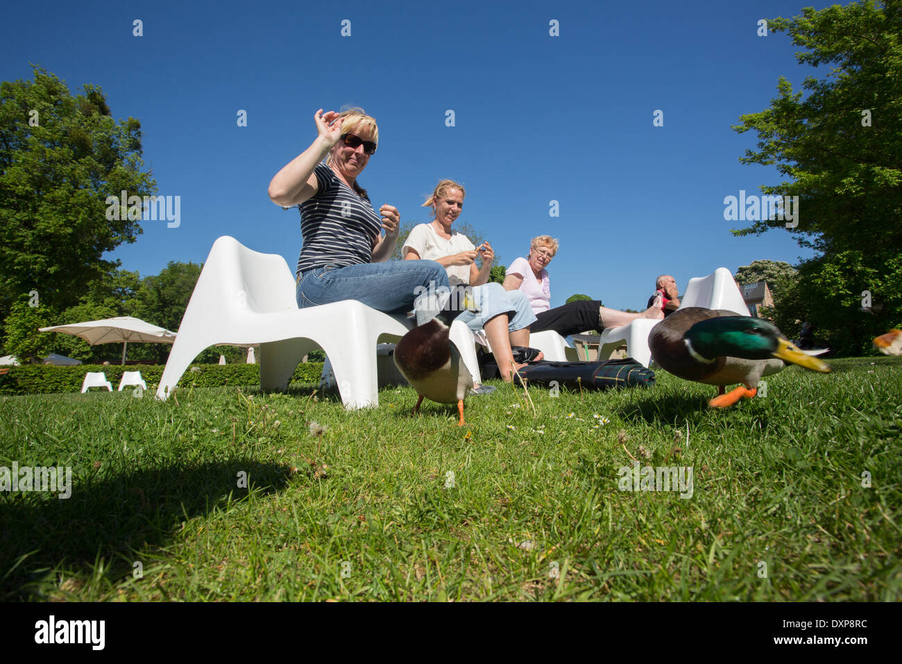 Fuettern hi-res stock photography and images - Alamy