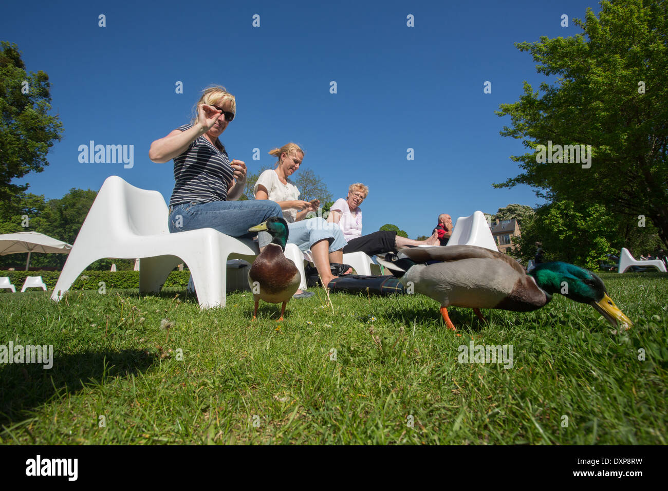 Fuettern feeds feed and enjoy hi-res stock photography and images - Alamy