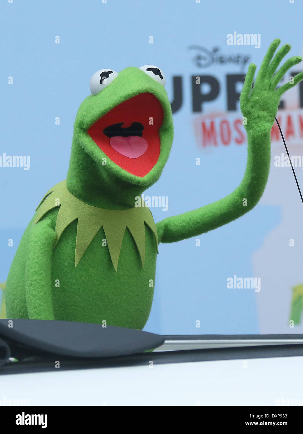 Muppets most wanted kermit hi-res stock photography and images - Alamy