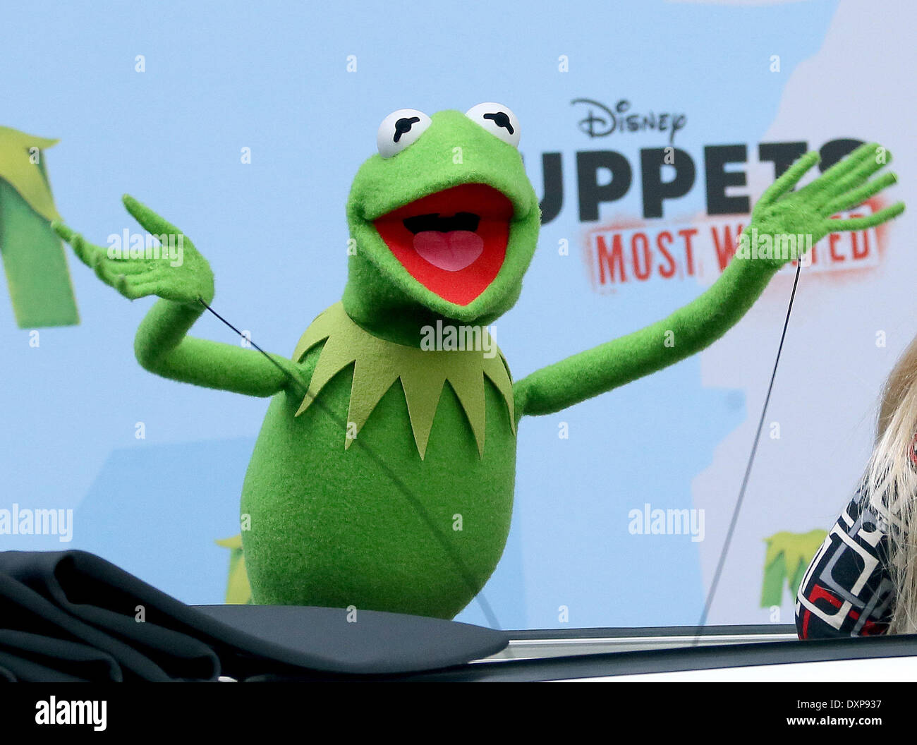 Kermit The Frog Muppets Stock Photos & Kermit The Frog Muppets Stock ...