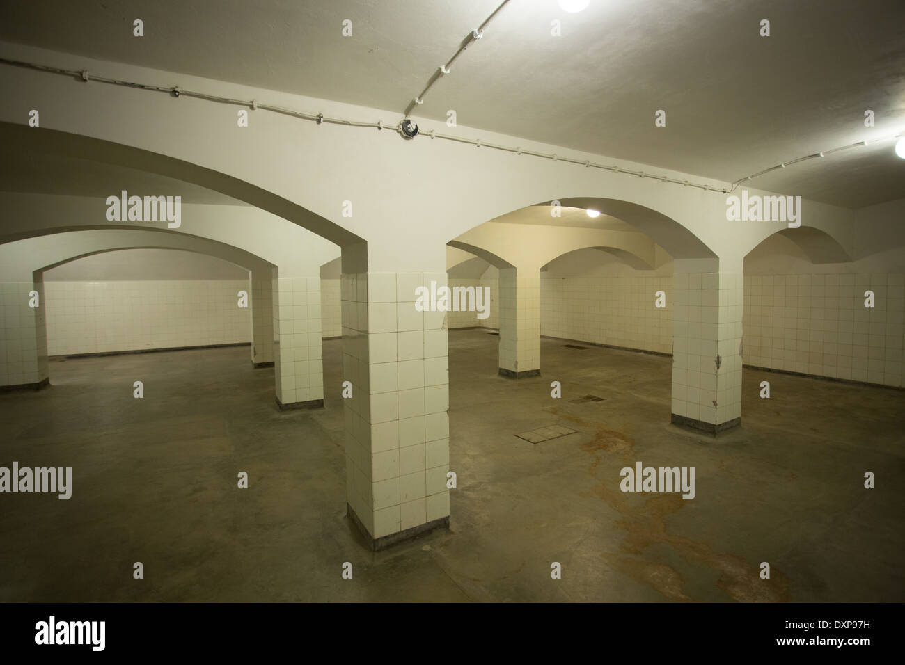 Pathology museum hi-res stock photography and images - Alamy