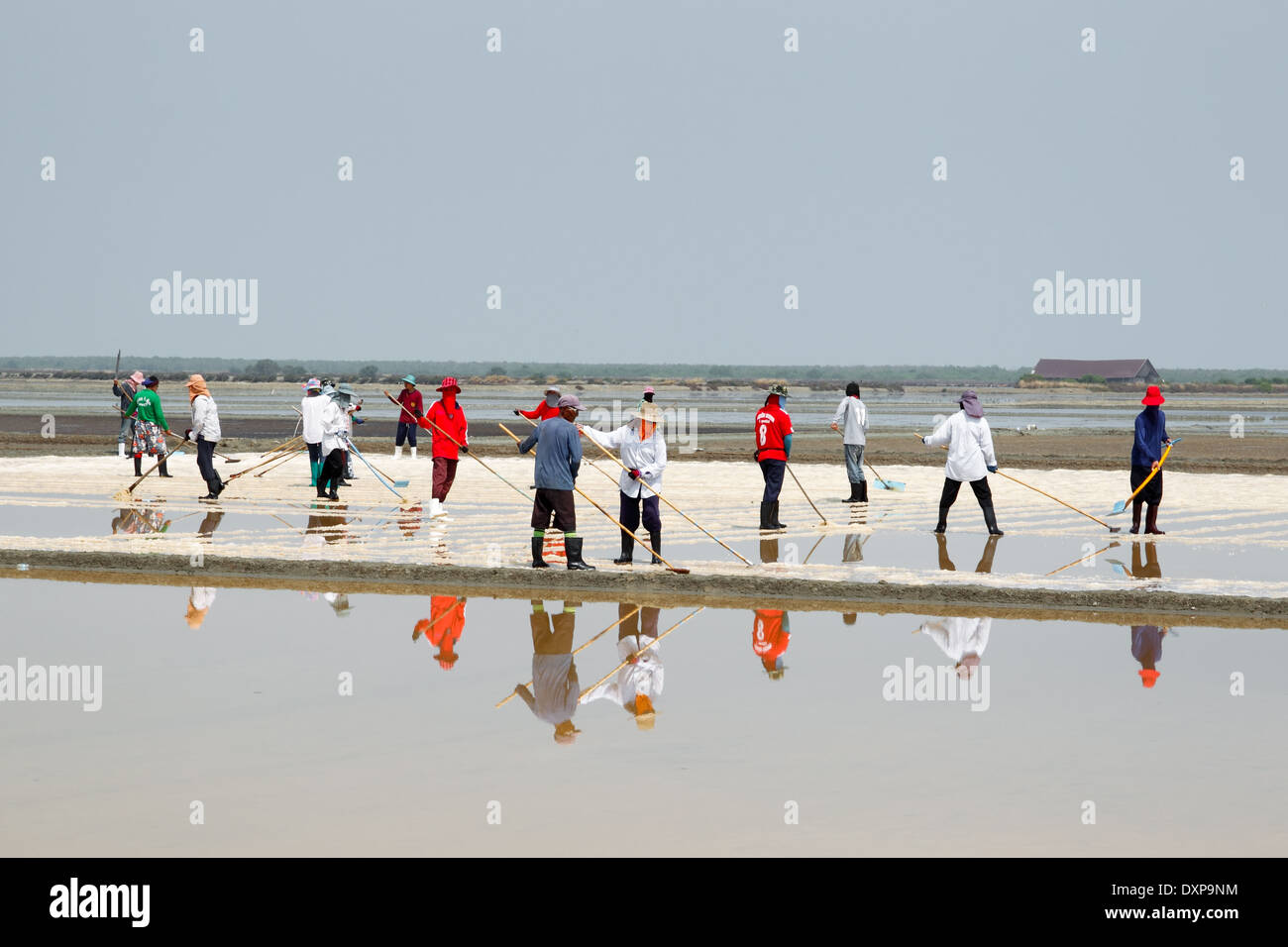 Workers in Thailand rake up salt in a saltpan Stock Photo - Alamy