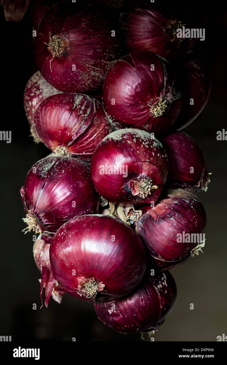 string red Italian onions hanging garden shed storing Spring vegetable ...
