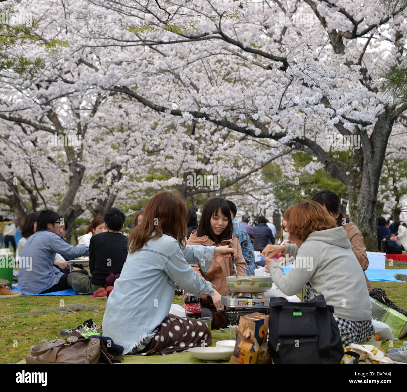 Fukuoka, Japan. 28th Mar, 2014. People have picnic under oriental ...