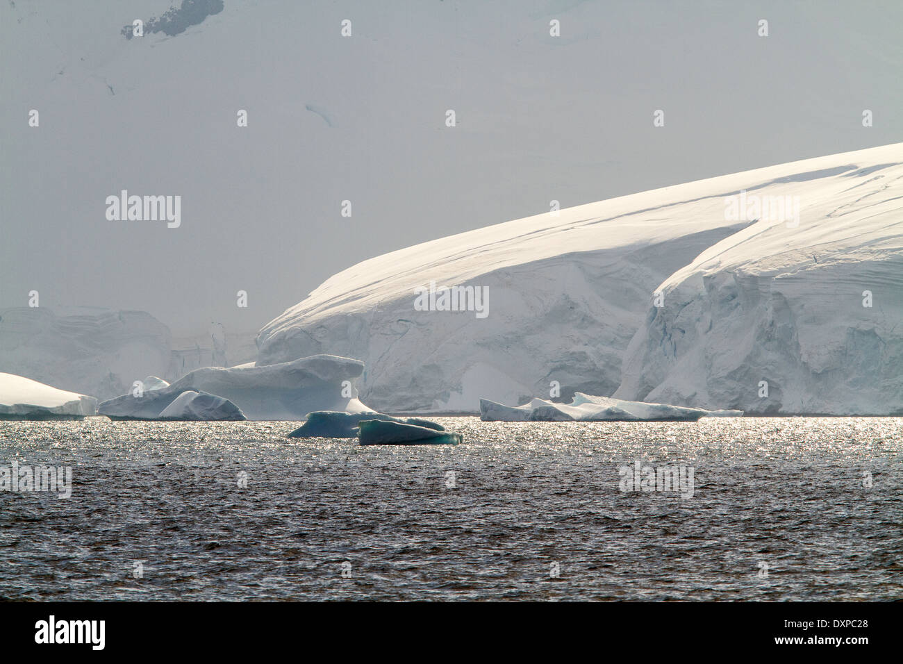 Antarctica icebergs ice berg with blue ice. Beautiful Antarctic ...