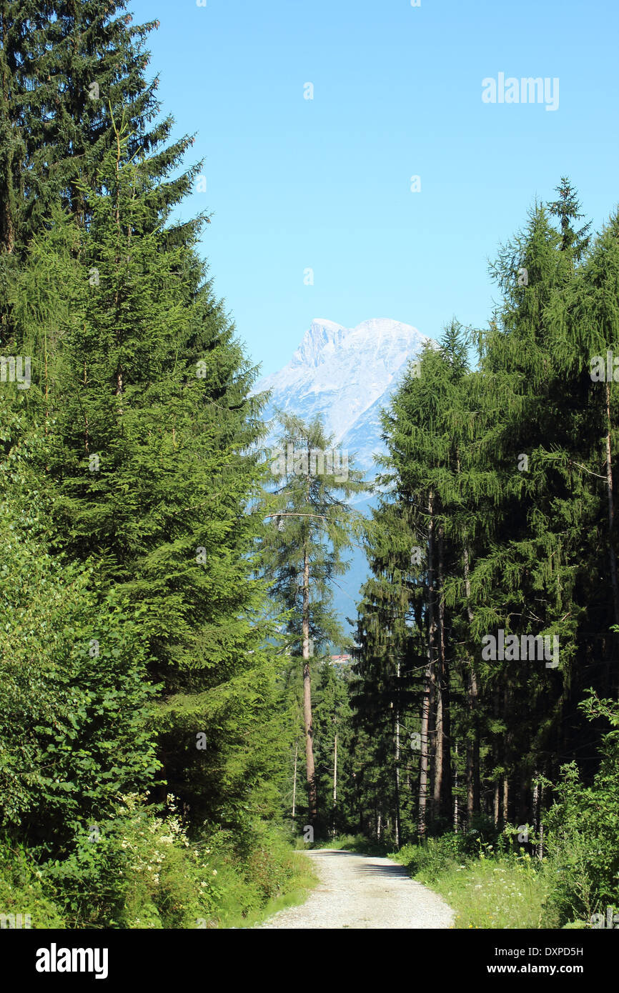 Mountain alps walk path hi-res stock photography and images - Alamy