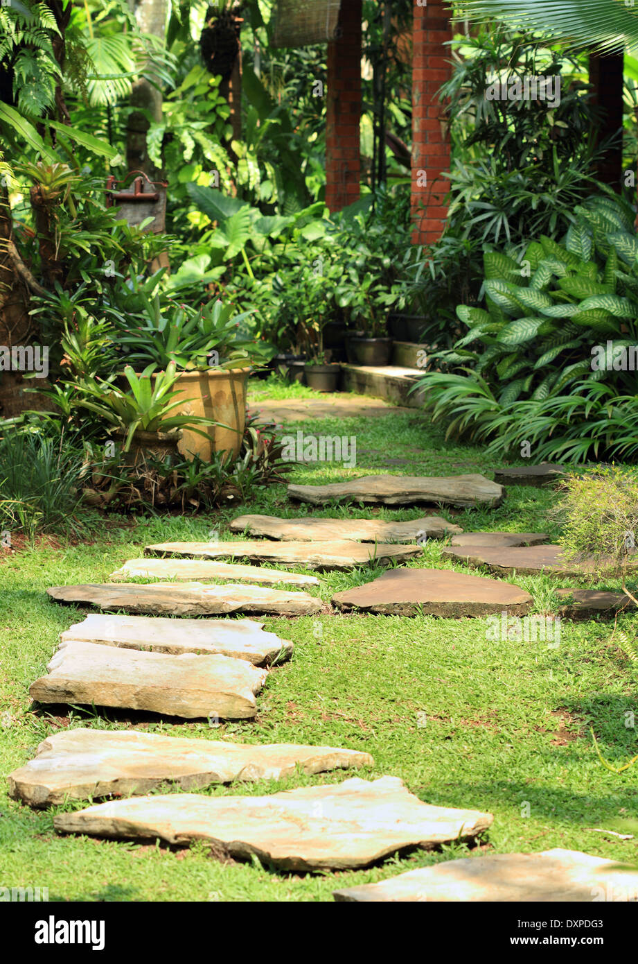 Steps in a natural path hi-res stock photography and images - Alamy