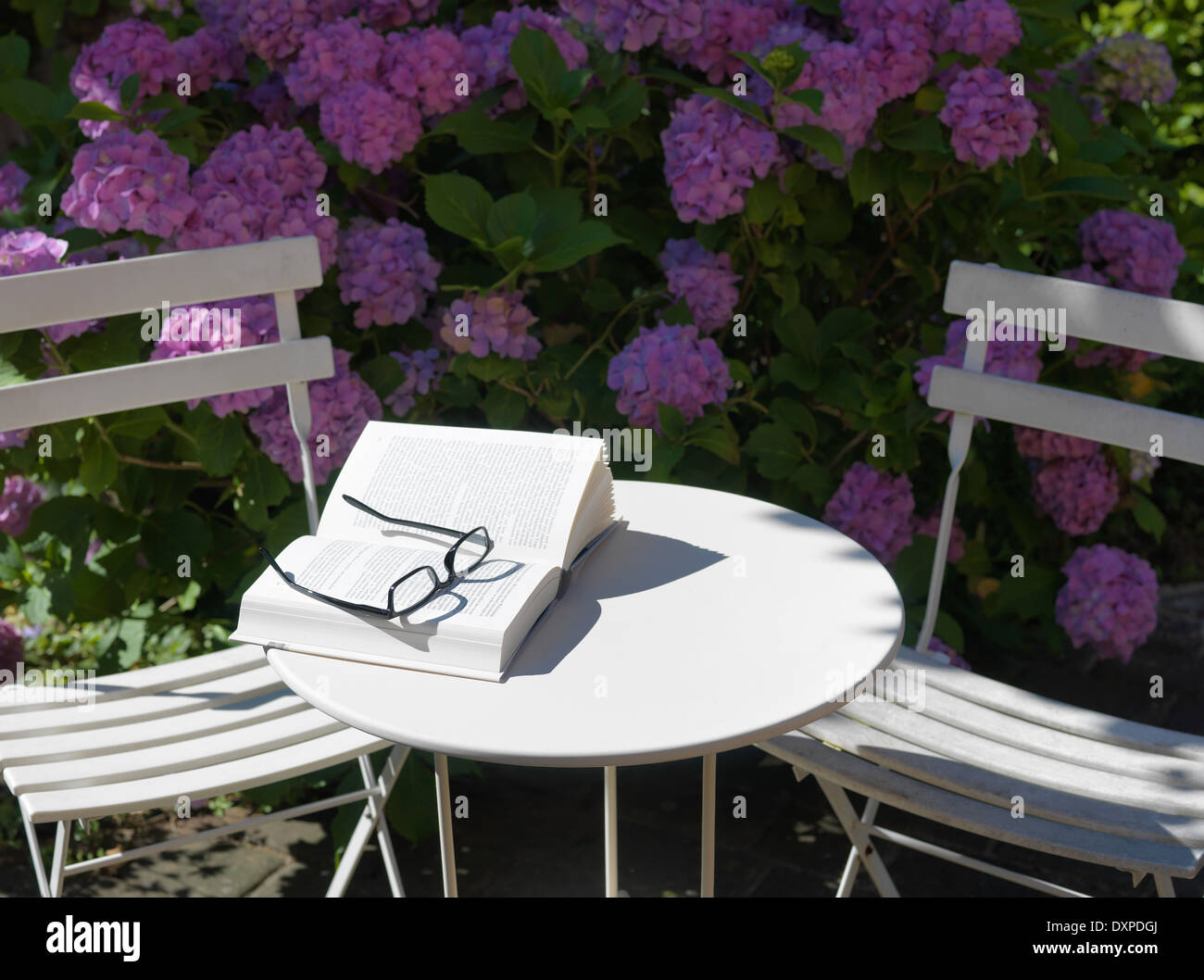 Specialized book hi-res stock photography and images - Alamy