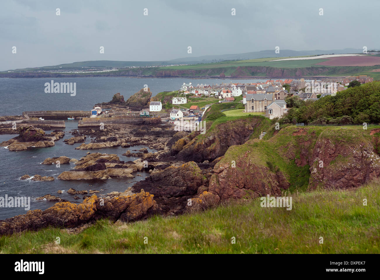 St Abbs Harbour and village seen from St Abbs Head, Scotland Stock ...