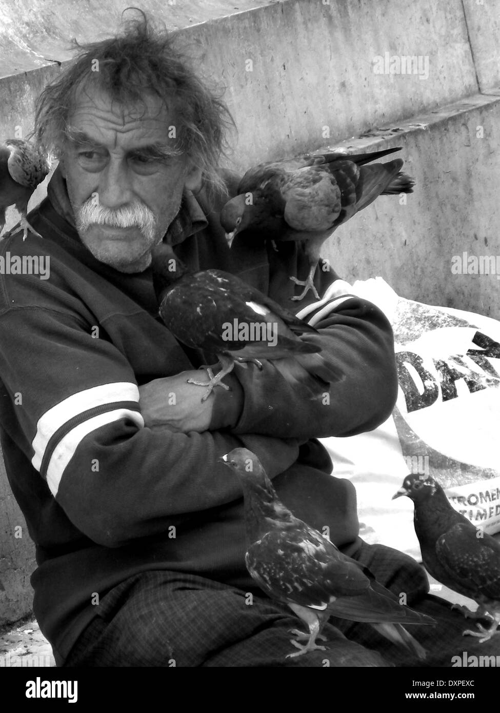 Pigeon man, Notre Dame Stock Photo - Alamy