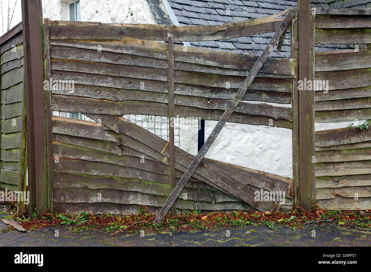 Damaged wooden fence panel, UK Stock Photo - Alamy