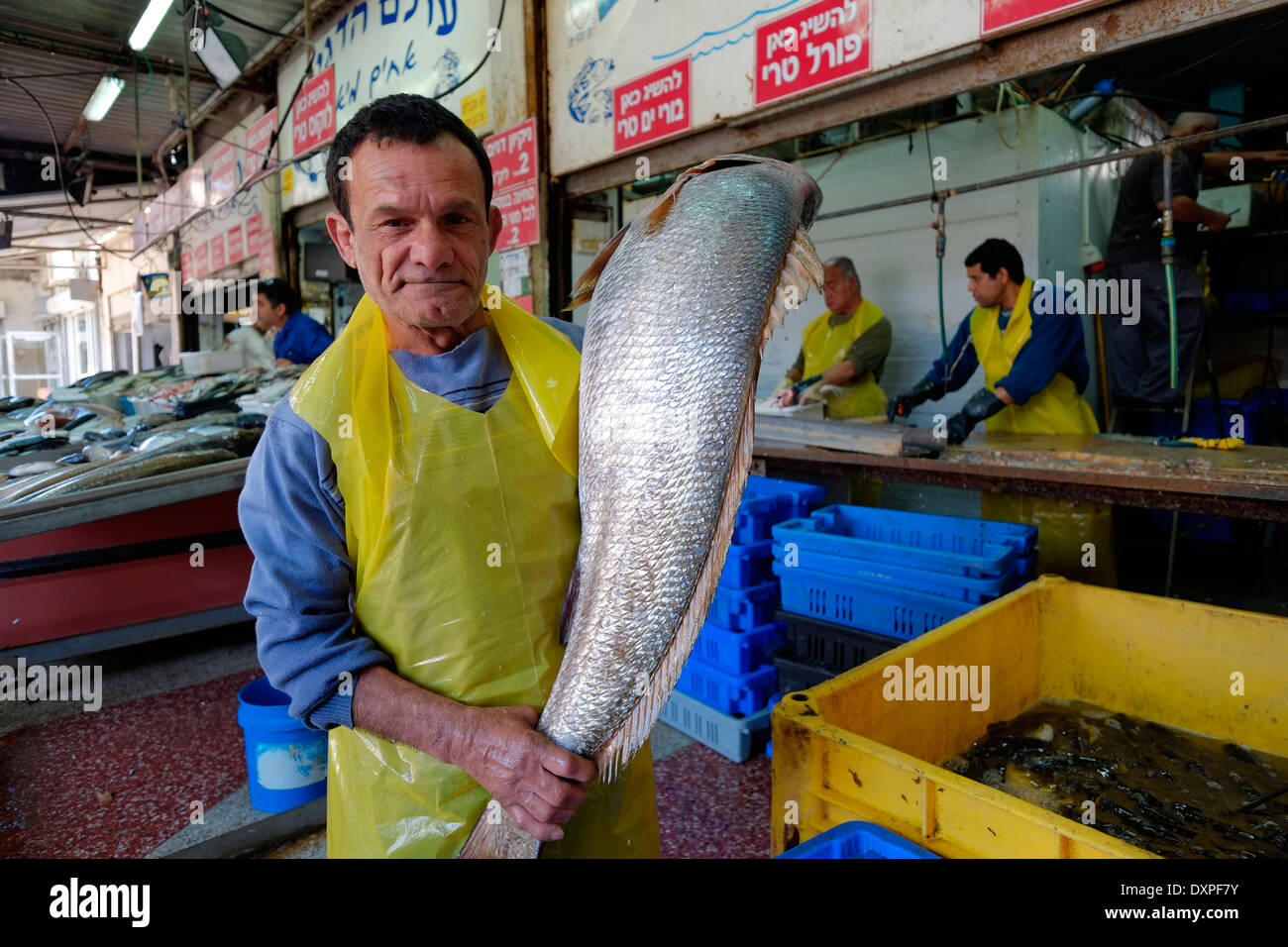 An Israeli fishmonger holds a big fresh fish in the market in the city ...