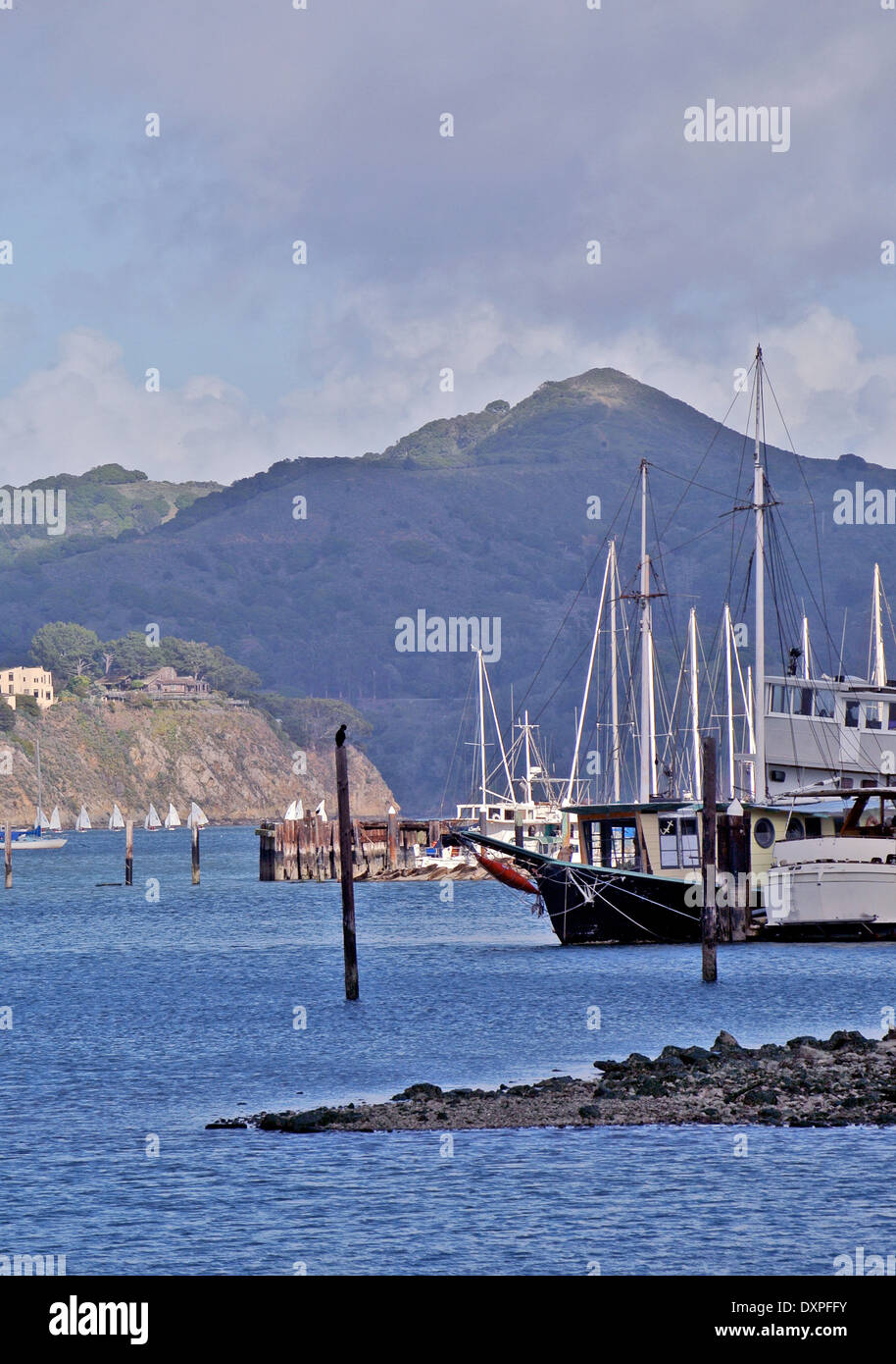 view of angel island state park and pleasure boats from sausalito Stock ...