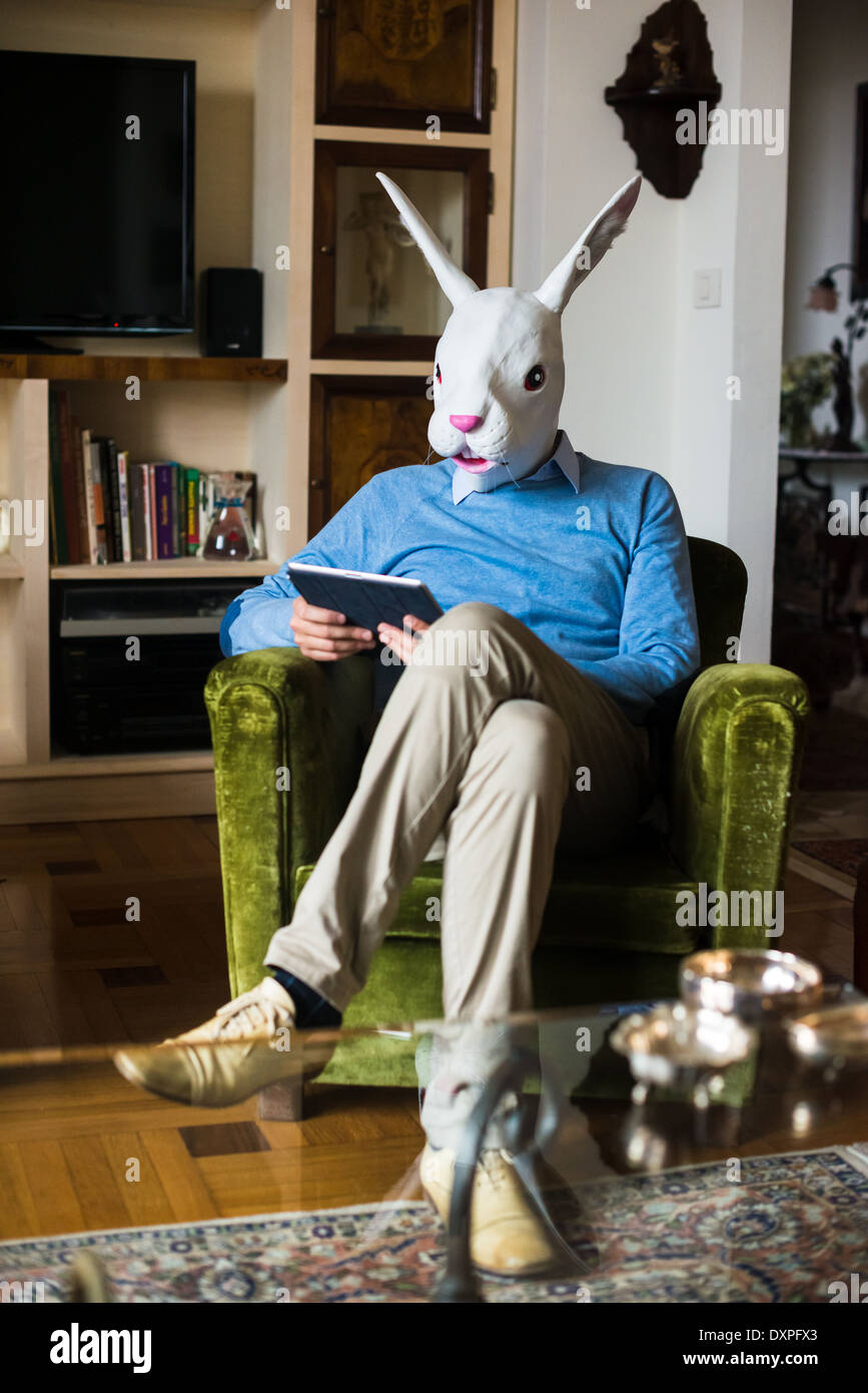 Rabbit Computer High Resolution Stock Photography and Images - Alamy