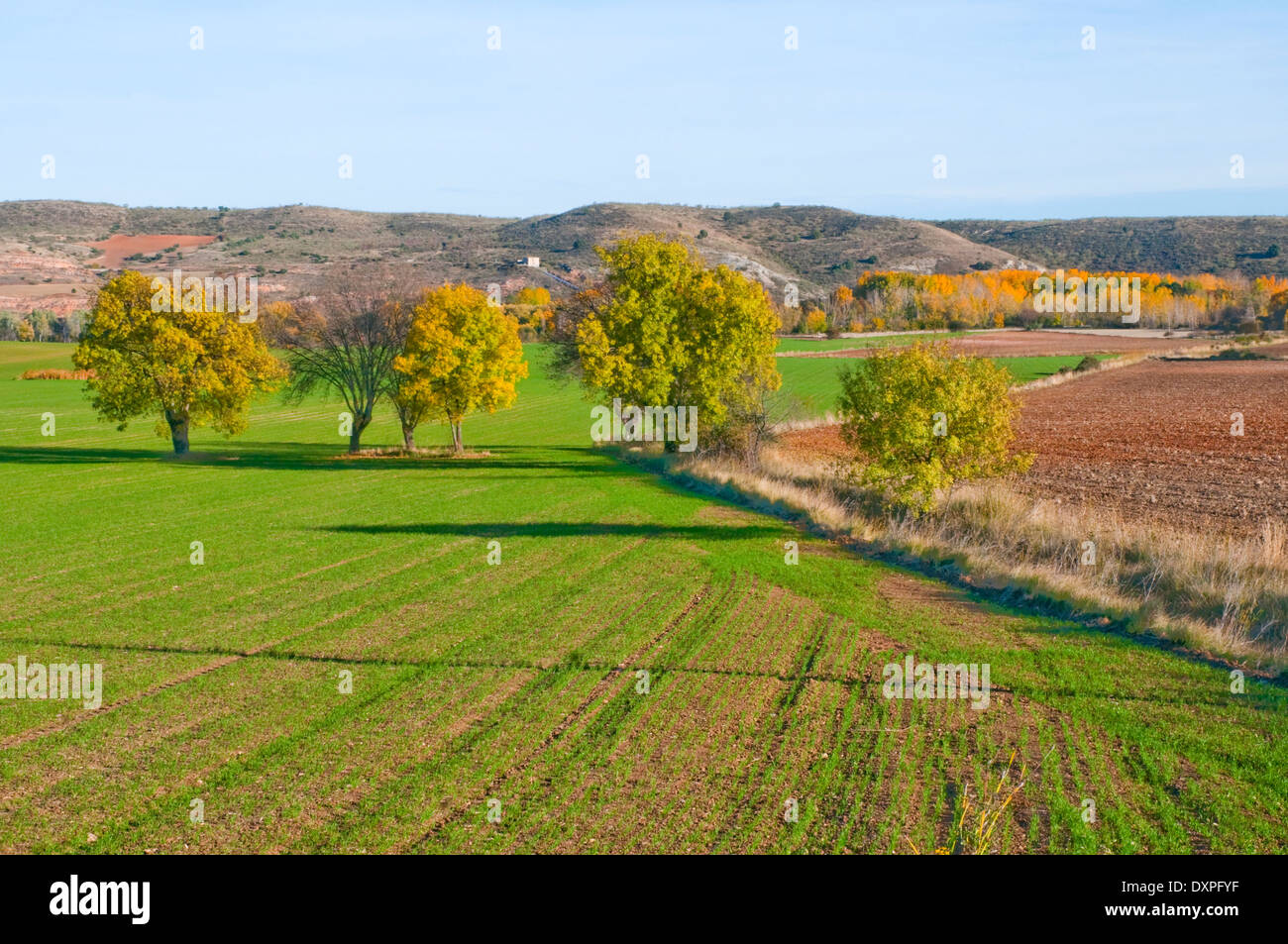 Campo agrario hi-res stock photography and images - Alamy