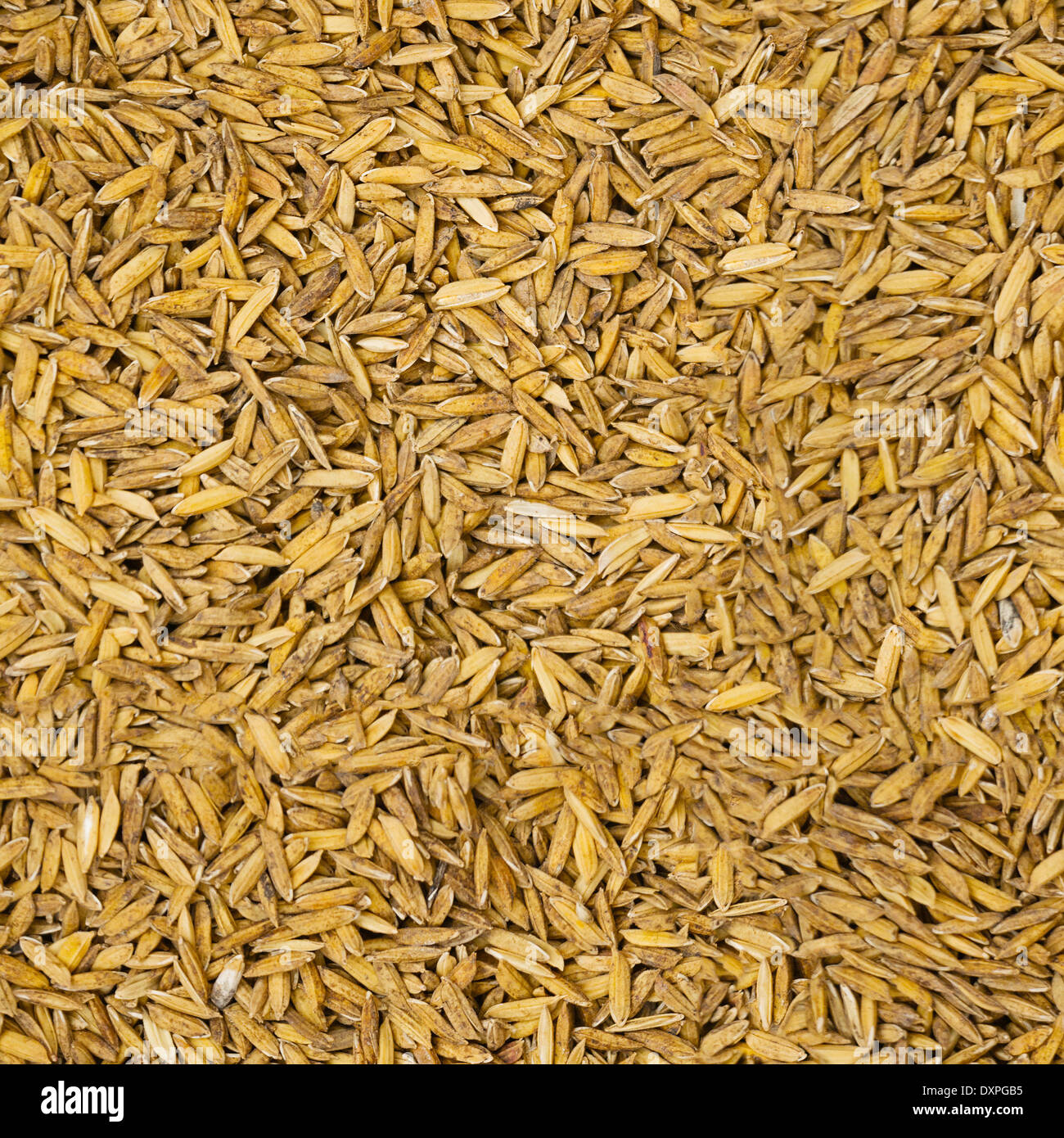 Rice seamless grunge pattern - natural food background Stock Photo - Alamy