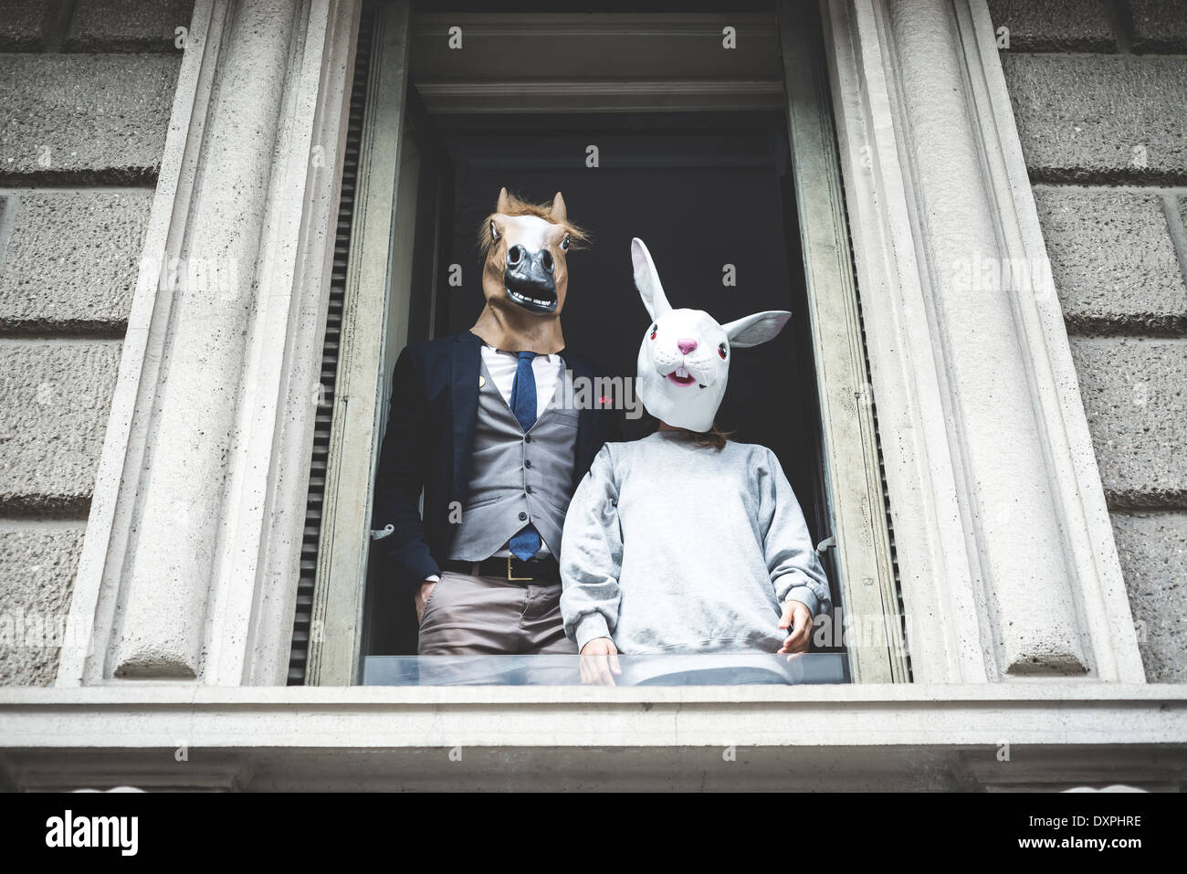 horse man with rabbit woman appeared at the window Stock Photo - Alamy