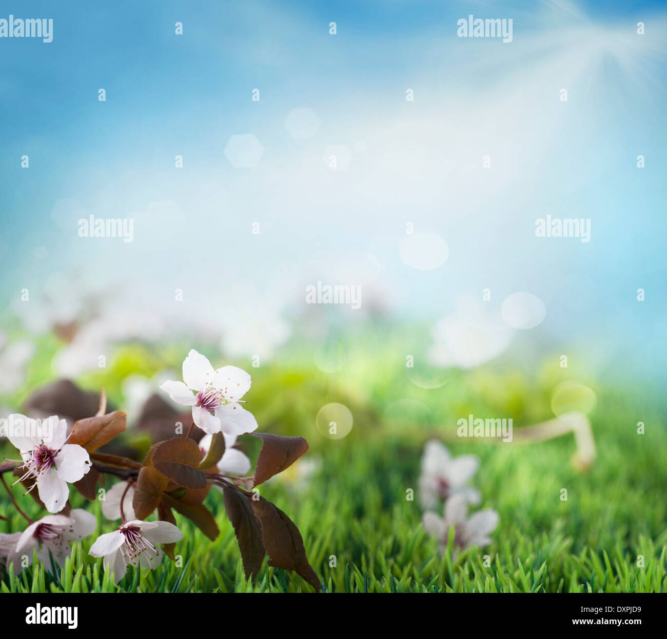 Design flowers background. Spring or summer floral nature background ...