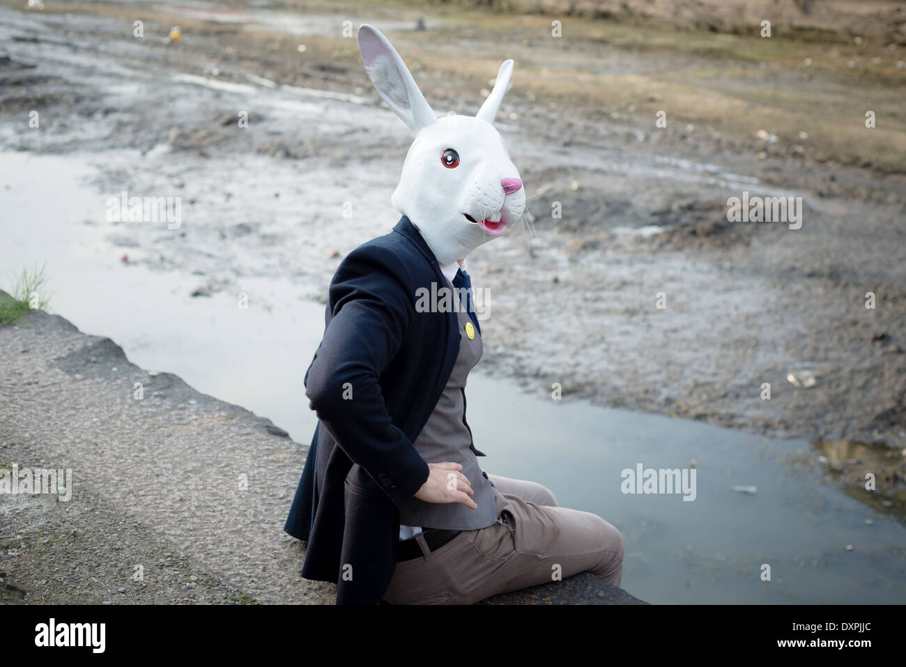 Rabbit city park landscape hi-res stock photography and images - Alamy