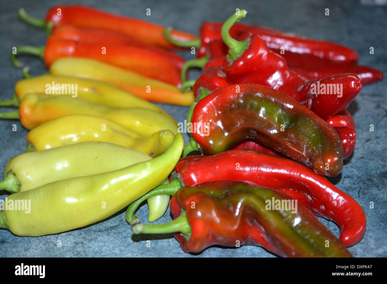 Capsicums hi-res stock photography and images - Alamy