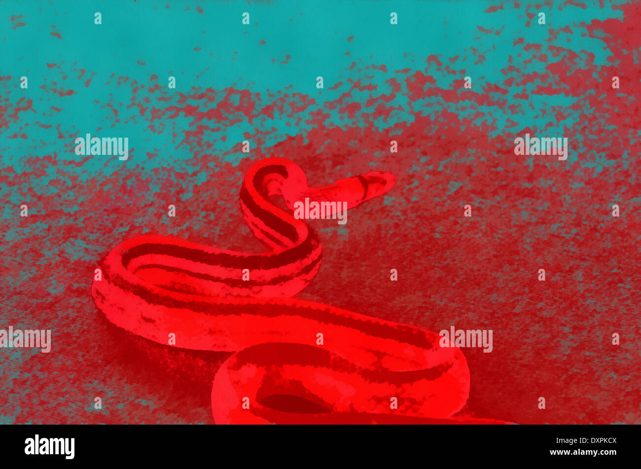 Illustrations snakes hi-res stock photography and images - Alamy