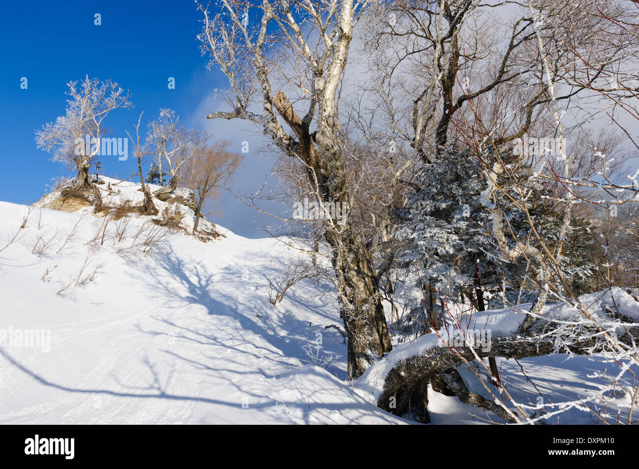 Beidahu ski resort hi-res stock photography and images - Alamy