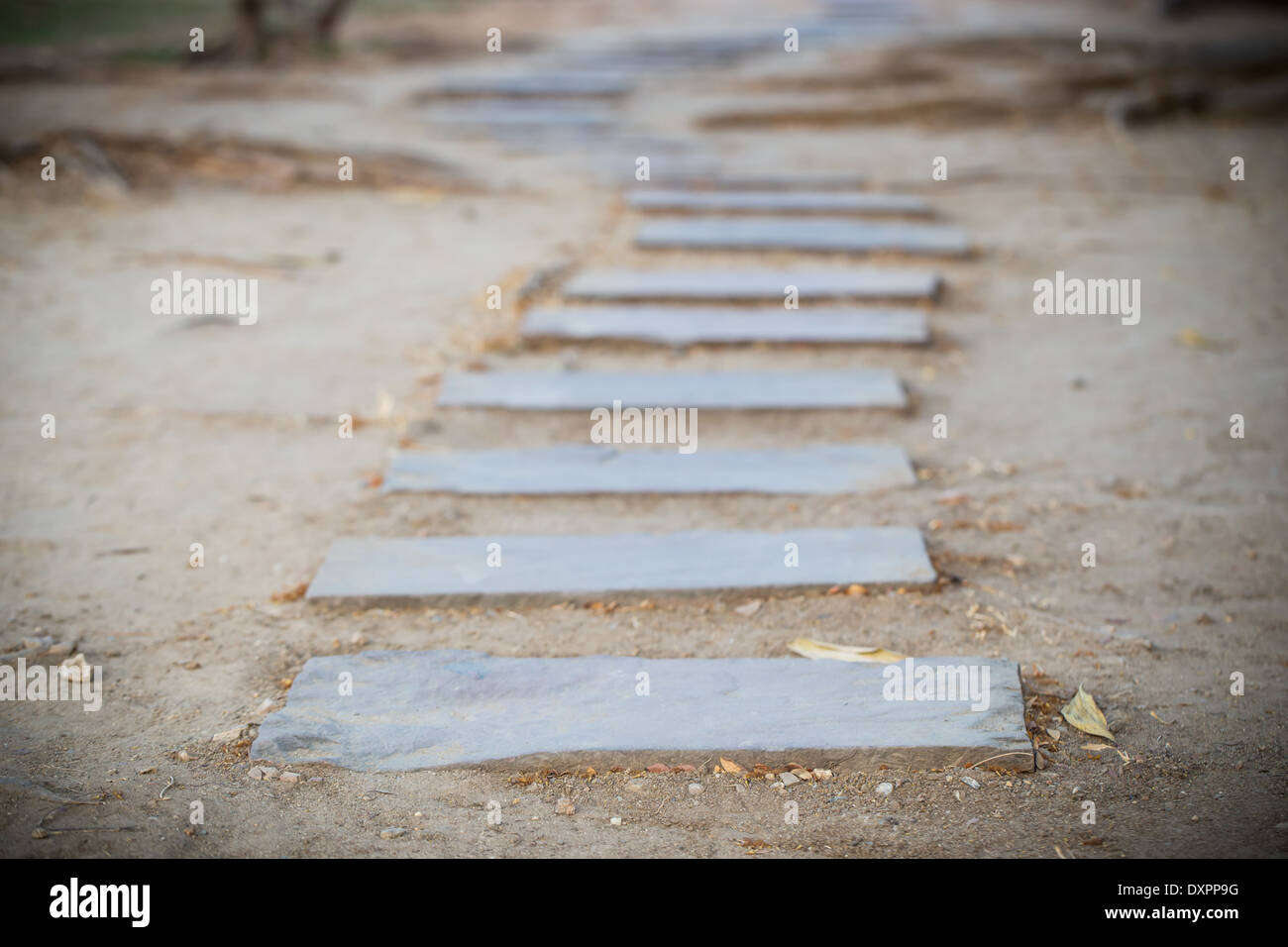 The Stone block walk path on soil with Depth Of Field Stock Photo - Alamy