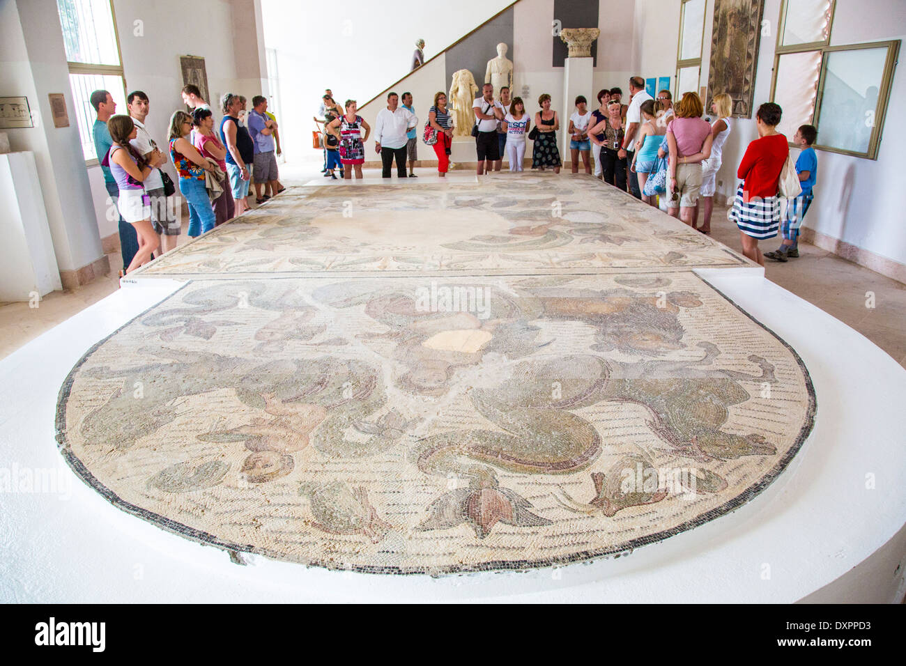 Ancient Roman marble tile mosaic, Carthage National Museum, Tunis ...