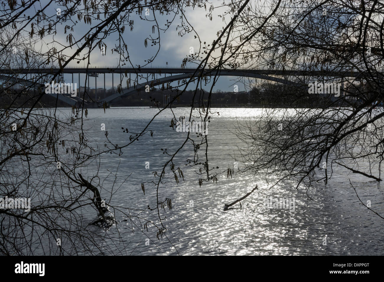 Sunshine sunlight sunny bright vegetation trees hi-res stock ...