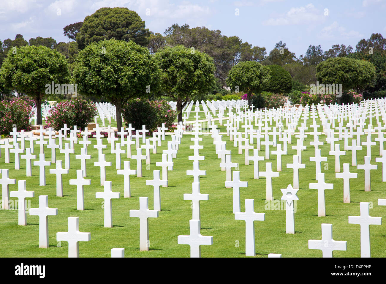 Wwii cemetery war tunisia hi-res stock photography and images - Alamy