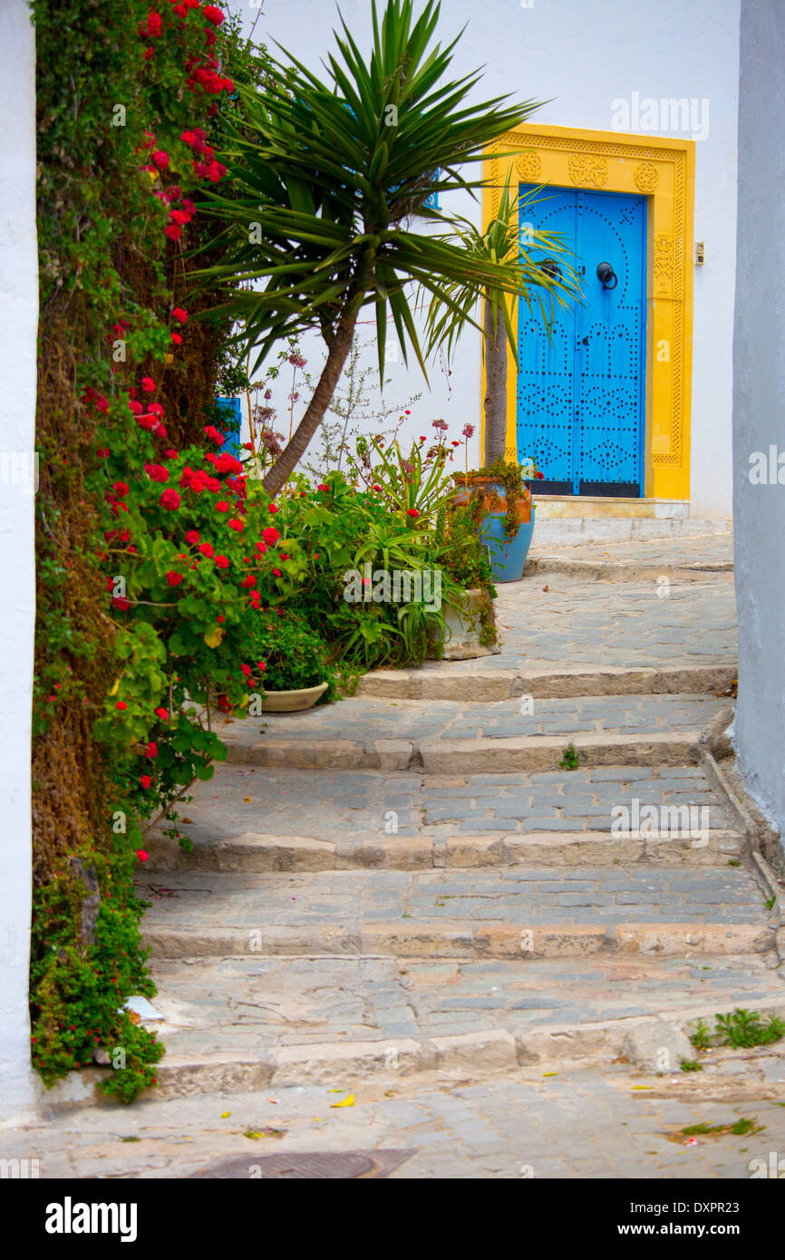 Sidi bou said architecture hi-res stock photography and images - Alamy