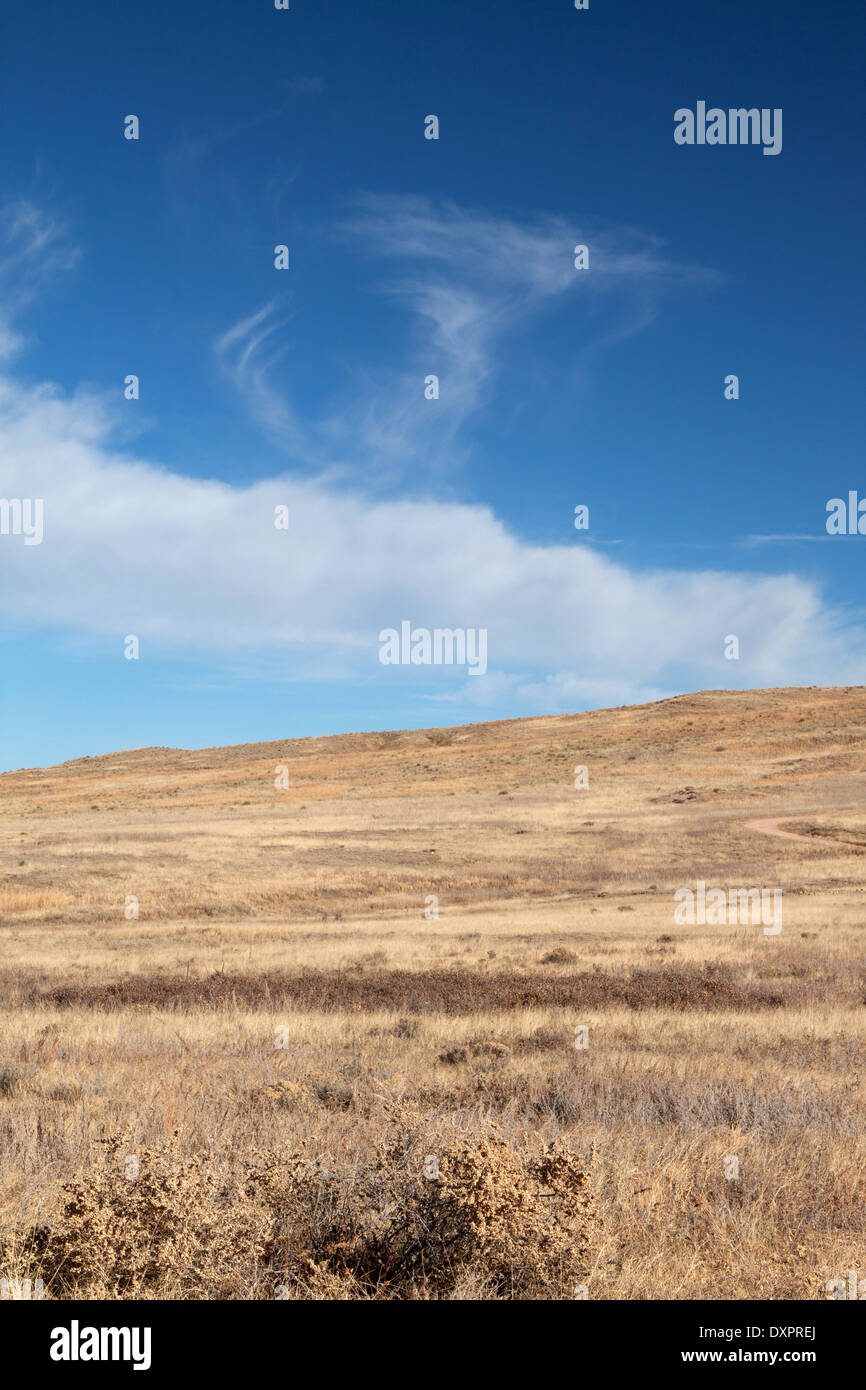 Colorado short grass prairie hi-res stock photography and images - Alamy