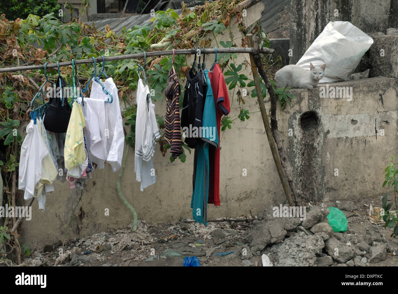 Washing hanging outside squatter camp, Manila, Philippines Stock Photo ...
